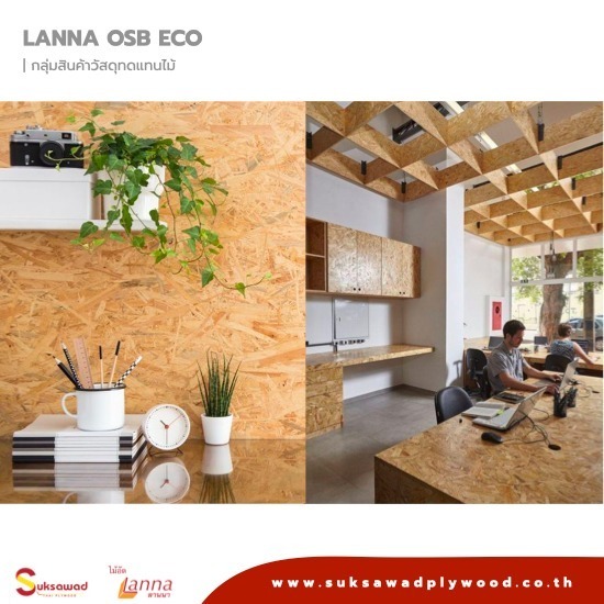 ไม้อัด OSB Eco | บริษัท สุขสวัสดิ์ ไม้อัดไทย จำกัด